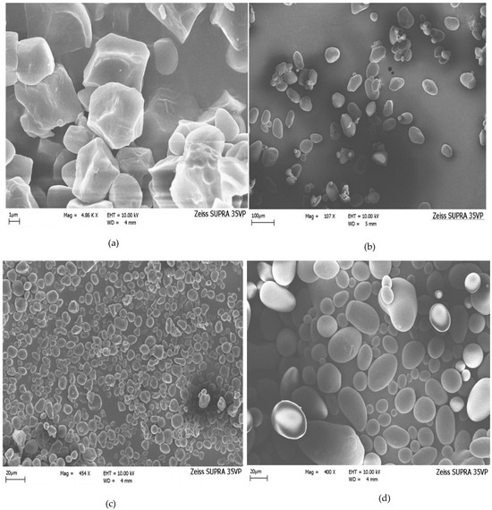 Aroma Compound Release from Starches of Different Origins: A ...