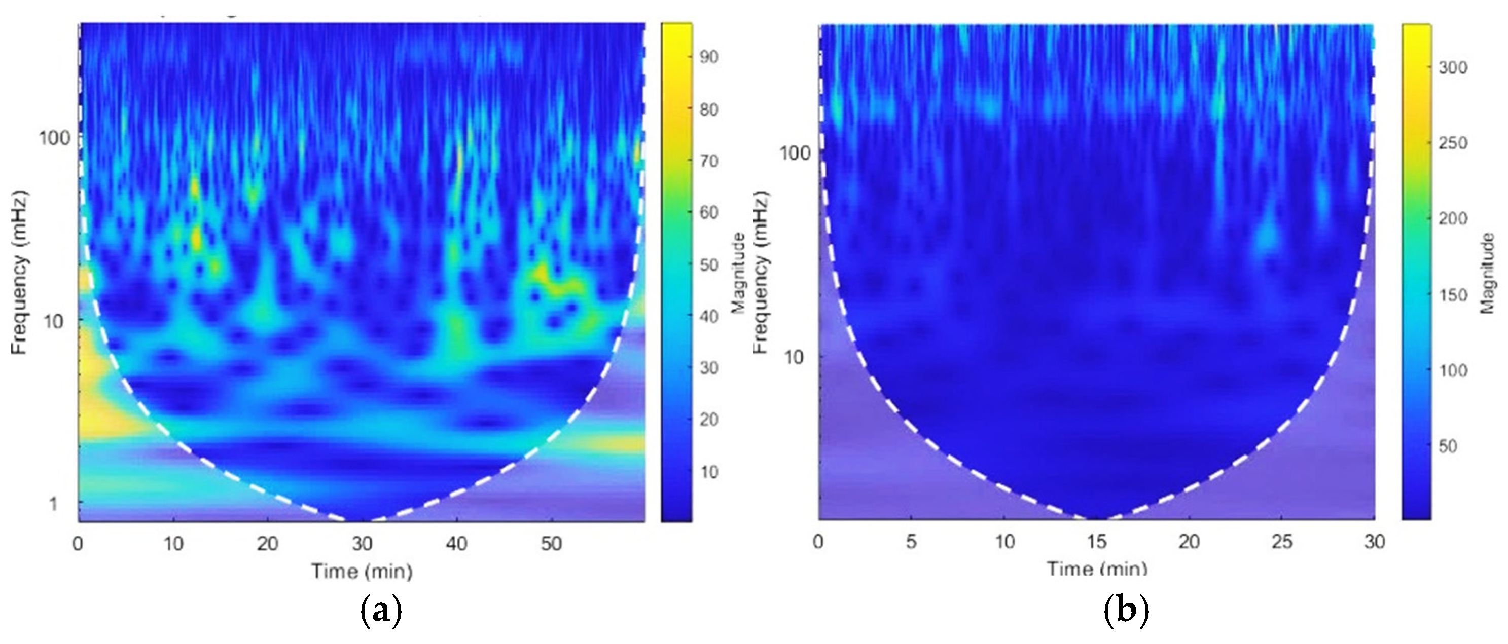 Assessing Cardiac Sympatho-Vagal Balance Through Wavelet Transform Analysis of Heart Rate ...