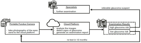 Artificial Intelligence in Ophthalmology: Advantages and Limits