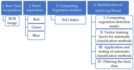 Optimizing Herbicide Use in Fodder Crops with Low-Cost Remote Sensing ...