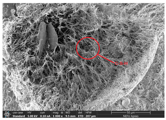 Effects of SiO2 with Different Particle Sizes on the Self-Repairing Properties of Microbial ...