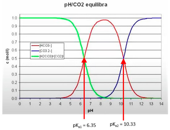 Terrestrial Storage of Biomass (Biomass Burial): A Natural, Carbon ...