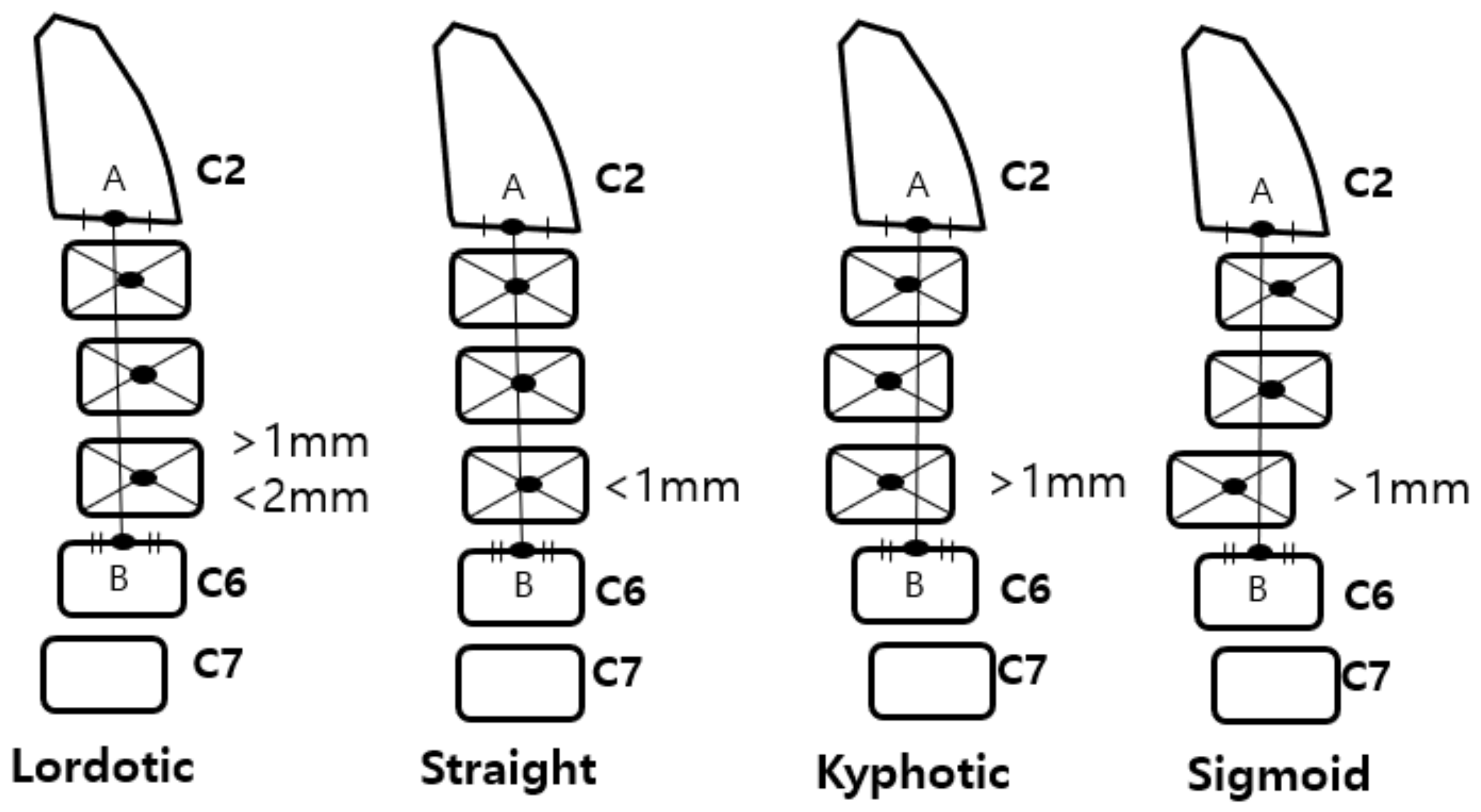Craniocervical Posture and Cervical Curvature Variations in Adult Females with Different ...