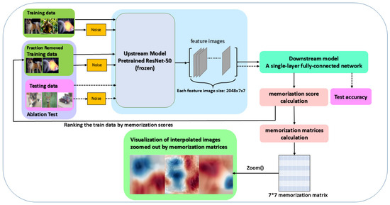 An Explainable Scheme for Memorization of Noisy Instances by Downstream ...