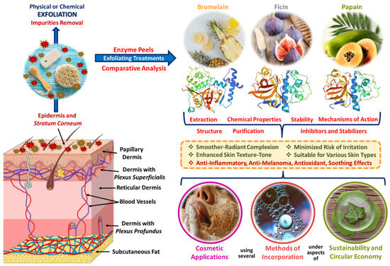 Proteolytic Enzyme Activities of Bromelain, Ficin, and Papain from ...