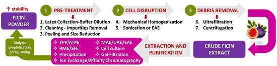 Proteolytic Enzyme Activities of Bromelain, Ficin, and Papain from ...