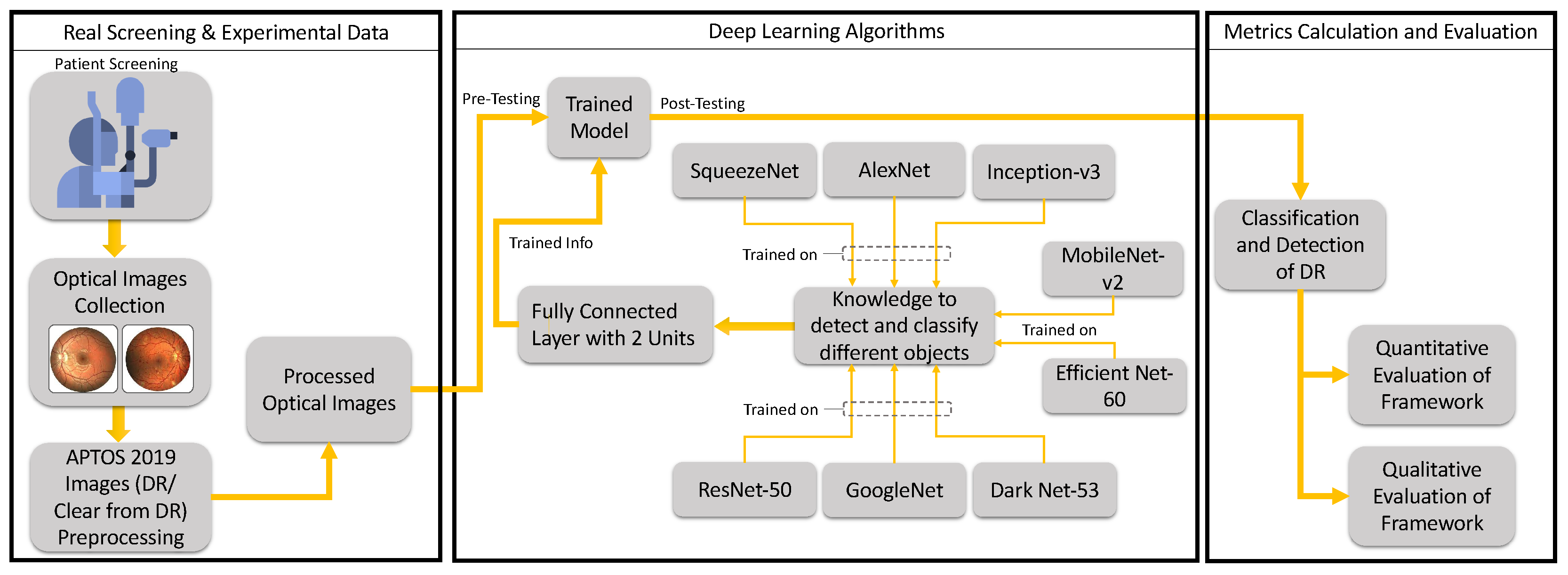 From Pixels to Diagnosis: Early Detection of Diabetic Retinopathy Using Optical Images and Deep ...