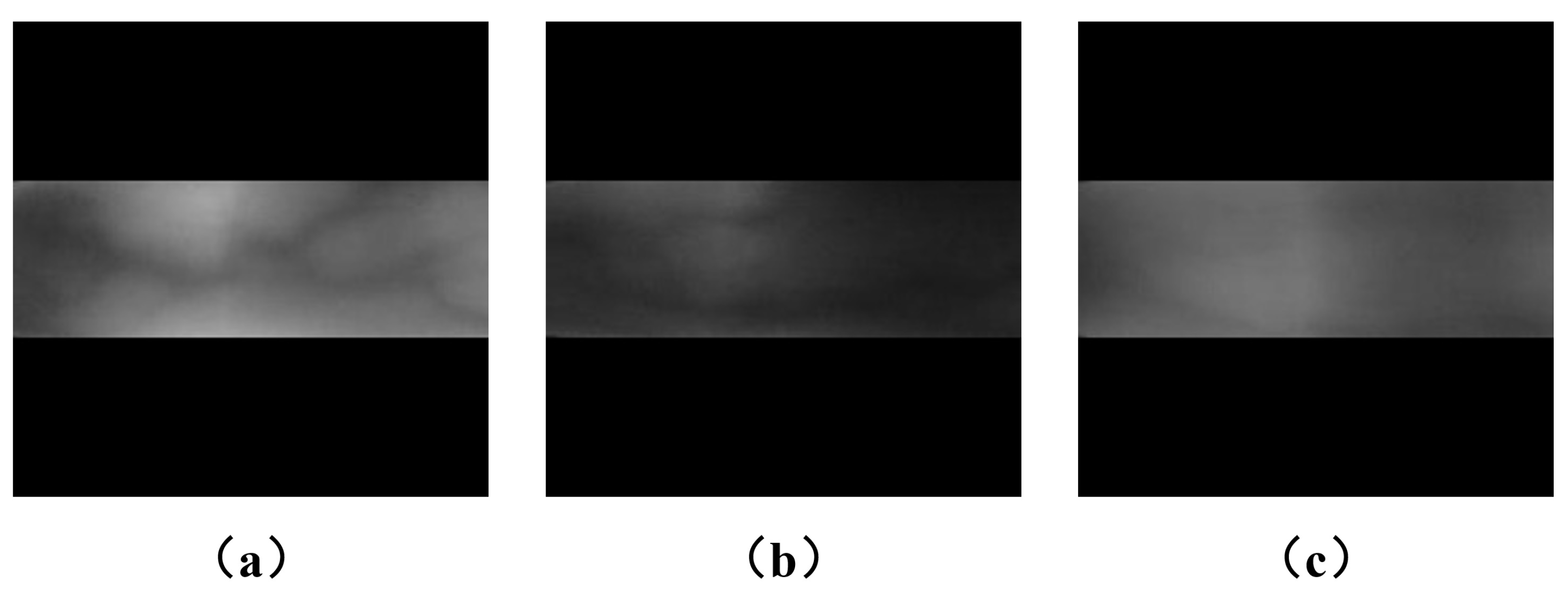 A High-Speed Finger Vein Recognition Network with Multi-Scale Convolutional Attention