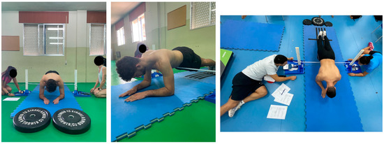 Criterion-Related Validity and Reliability of the Front Plank Test in ...