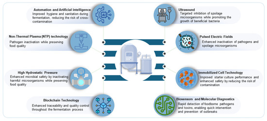 Advances in Fermentation Technology: A Focus on Health and Safety