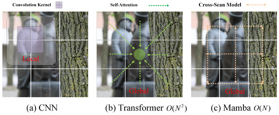 Dual-Branch CNN–Mamba Method for Image Defocus Deblurring