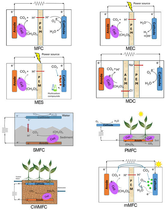 Microalgal Microbial Fuel Cells: A Comprehensive Review of Mechanisms ...
