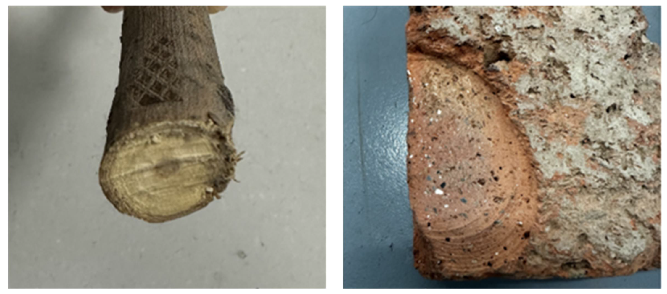 Sewer Cleaning Robot: A Visually Assisted Cleaning Robot for Sewers