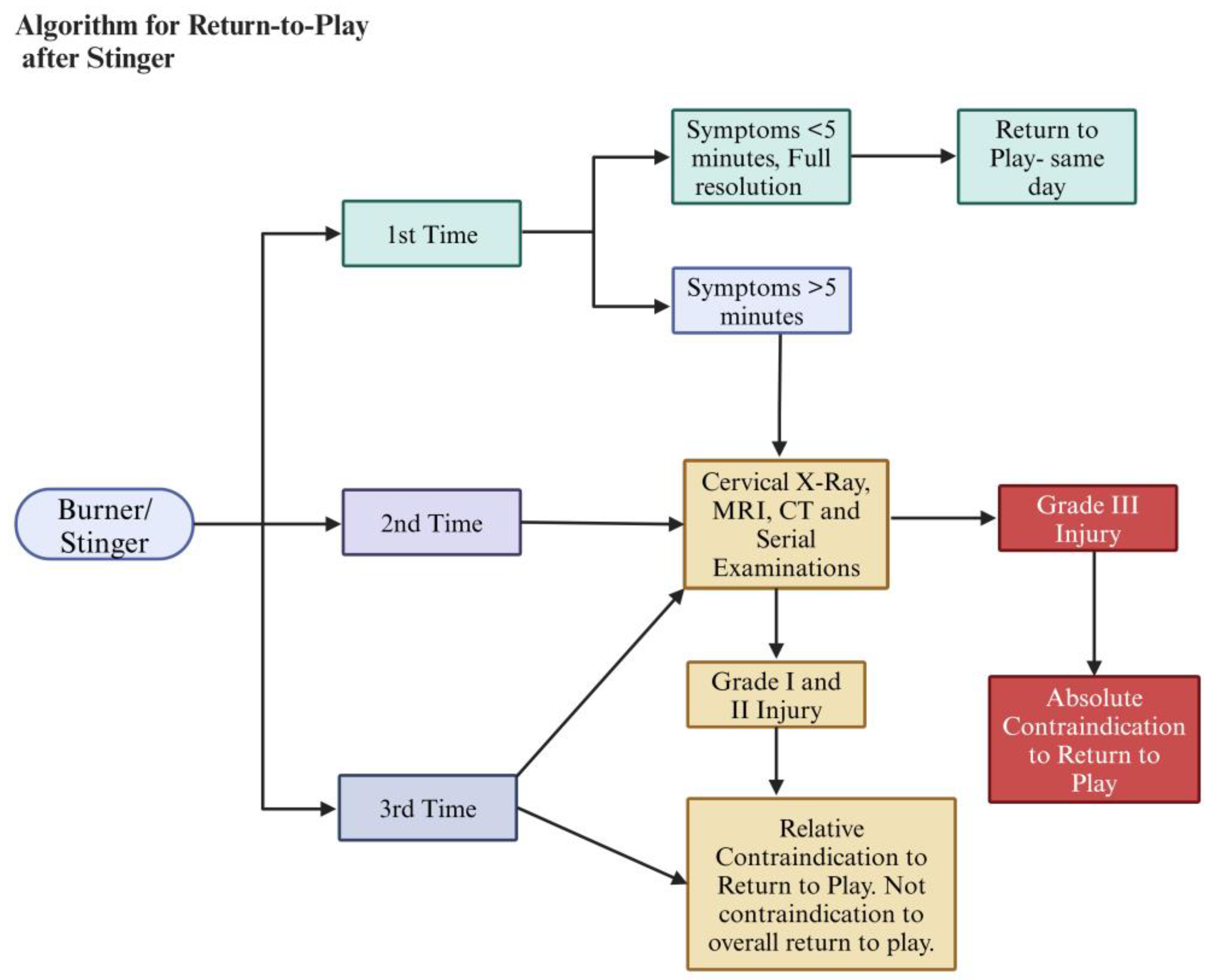 Stingers—A Review of Current Understanding and Management