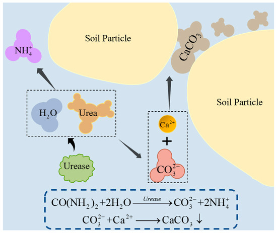 Research of Enzyme-Induced Carbonate Precipitation on Strength Behavior ...