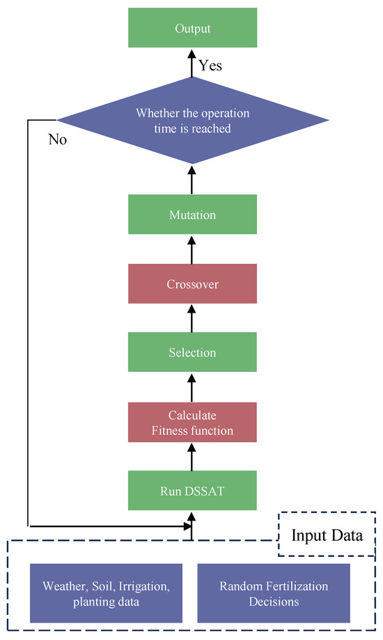 Optimization of Nitrogen Fertilization Strategies for Drip Irrigation ...