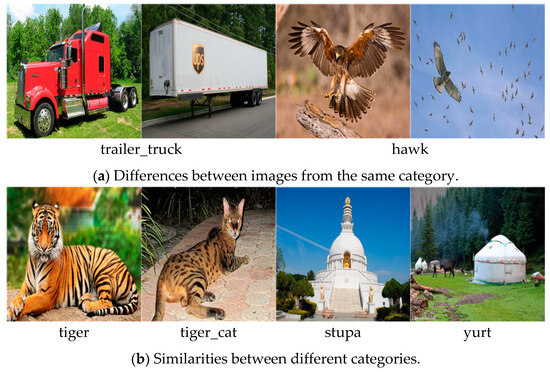 Few-Shot Semantic Segmentation Network for Distinguishing Positive and Negative Examples