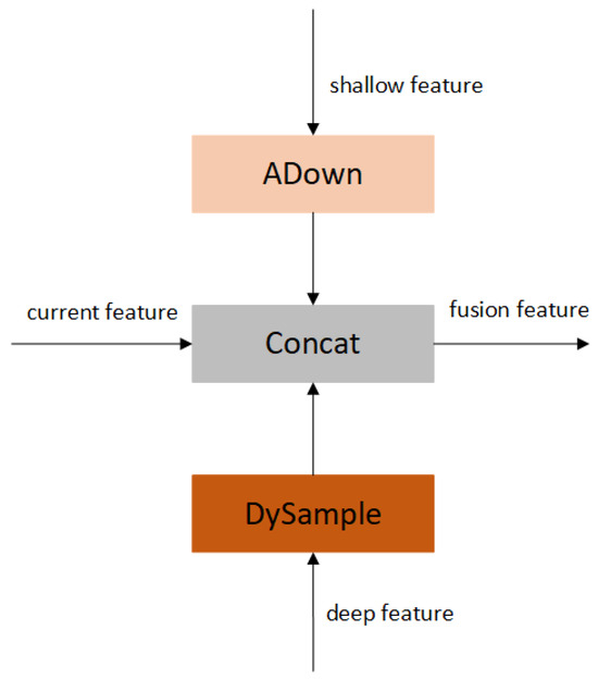 Rhs Yolov8 A Lightweight Underwater Small Object Detection Algorithm Based On Improved Yolov8