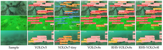 Rhs Yolov8 A Lightweight Underwater Small Object Detection Algorithm Based On Improved Yolov8
