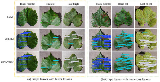 GCS-YOLO: A Lightweight Detection Algorithm for Grape Leaf Diseases Based on Improved YOLOv8