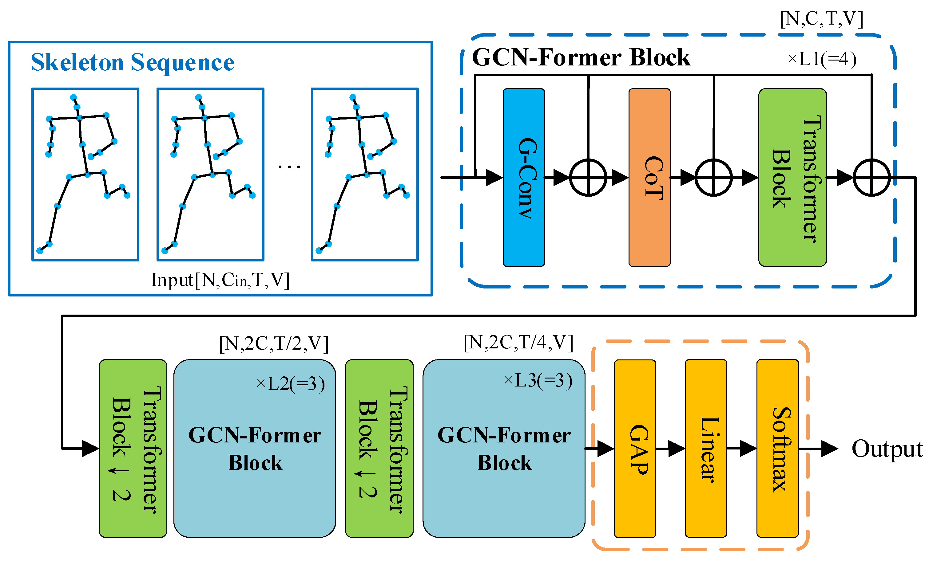 GCN-Former: A Method for Action Recognition Using Graph Convolutional Networks and Transformer