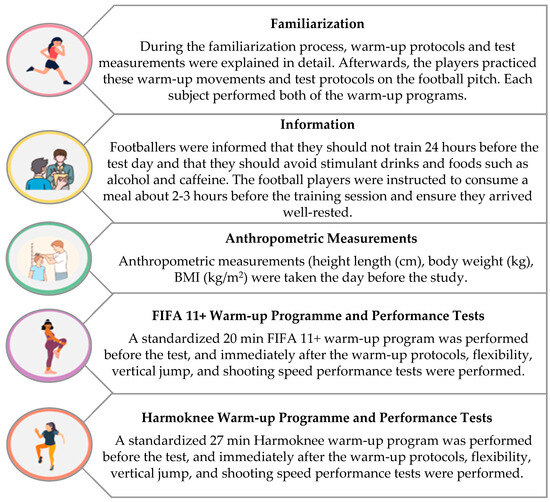 The Effects of FIFA 11+ and Harmoknee Warm-Up Protocols on Flexibility ...