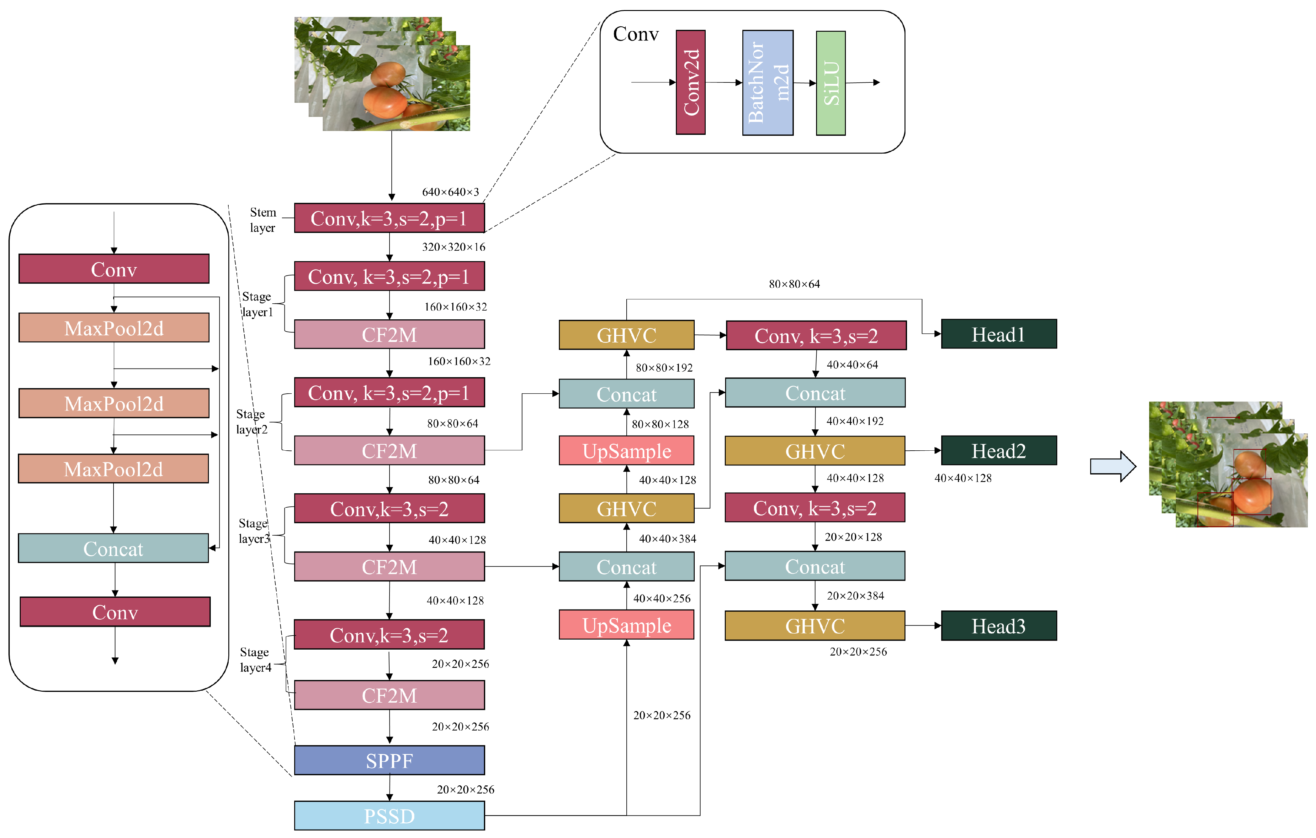YOLO-PGC: A Tomato Maturity Detection Algorithm Based on Improved YOLOv11