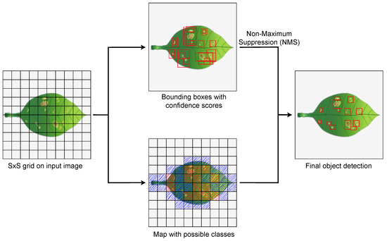 Coffee-Leaf Diseases and Pests Detection Based on YOLO Models