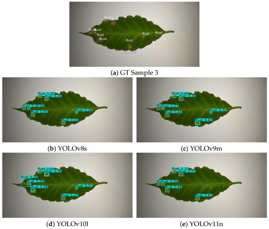Coffee-Leaf Diseases and Pests Detection Based on YOLO Models