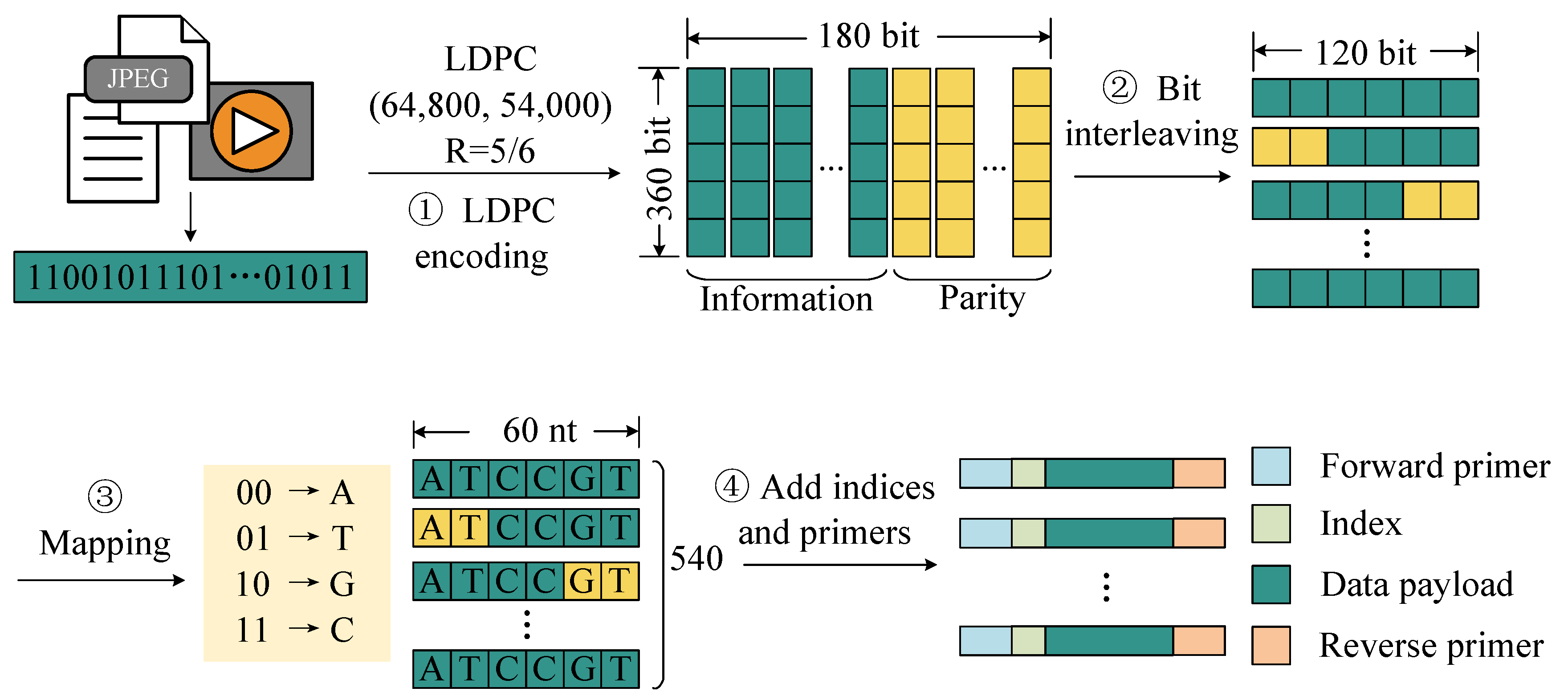 Hardware-Accelerated Data Readout Platform Using Heterogeneous Computing for DNA Data Storage