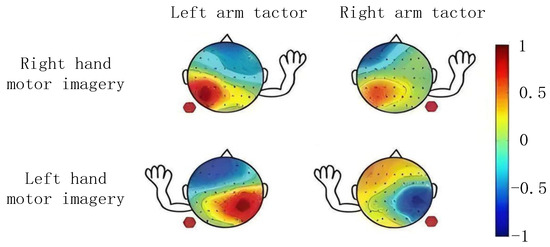 Weighted Filter Bank and Regularization Common Spatial Pattern-Based ...