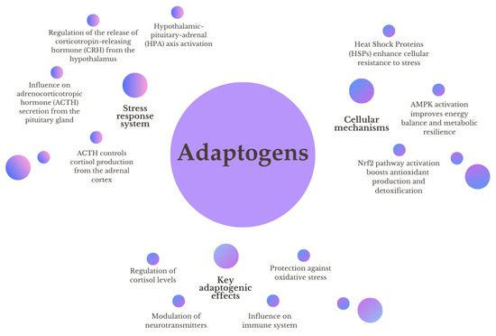 Herbal Support for the Nervous System: The Impact of Adaptogens in ...