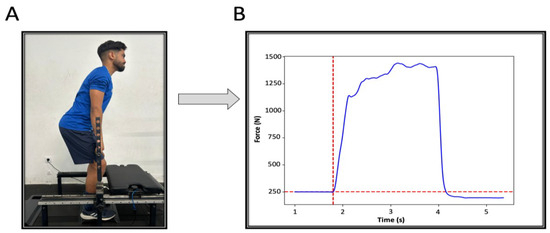 Profiling of Physical Qualities of Highly Trained Portuguese Youth ...