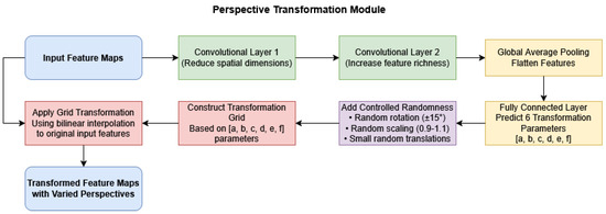 Perspective Transformation and Viewpoint Attention Enhancement for ...
