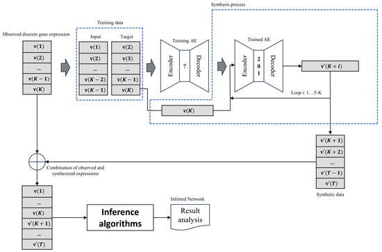 Synthesizing Time-Series Gene Expression Data to Enhance Network Inference Performance Using ...