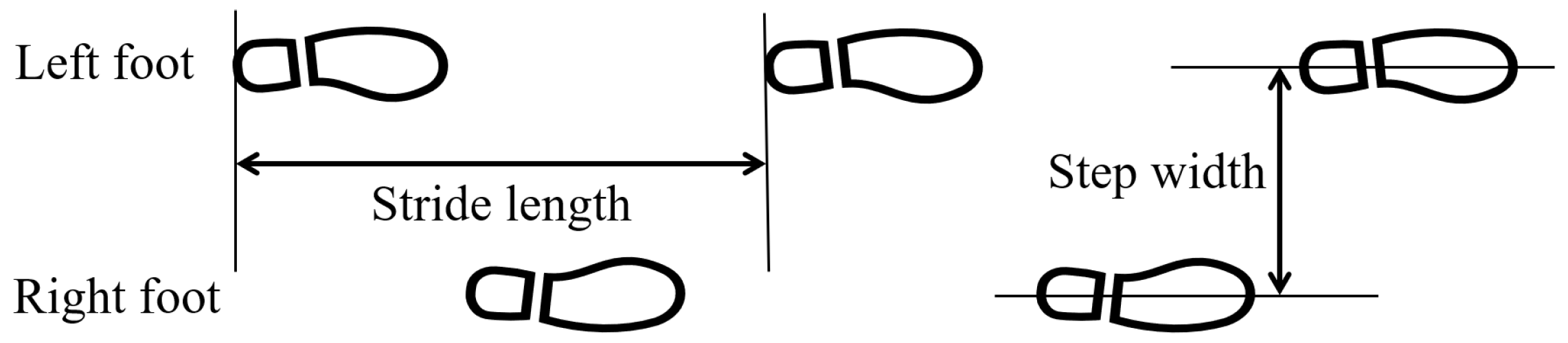Walking-Age Estimator Based on Gait Parameters Using Kernel Regression
