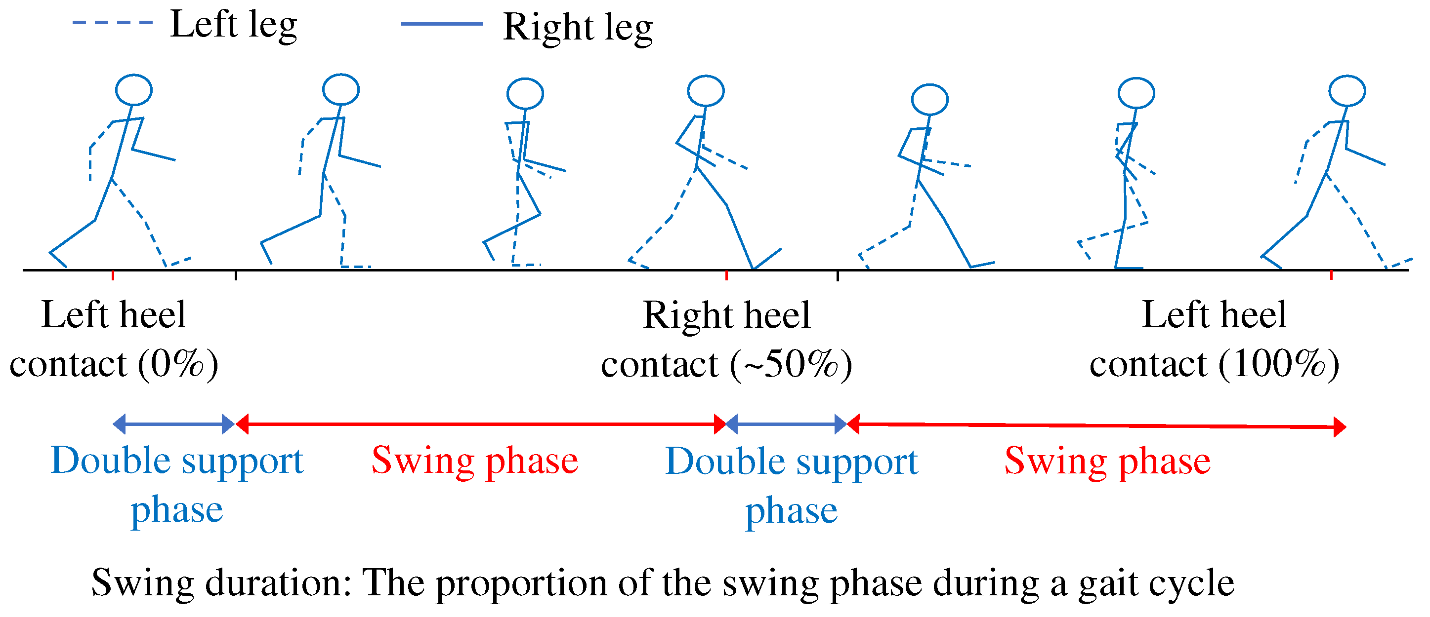Walking-Age Estimator Based on Gait Parameters Using Kernel Regression