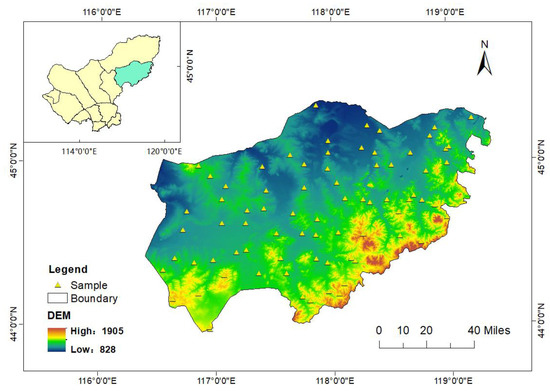 Remote Sensing-Based Multilayer Perceptron Model for Grassland Above-Ground Biomass Estimation