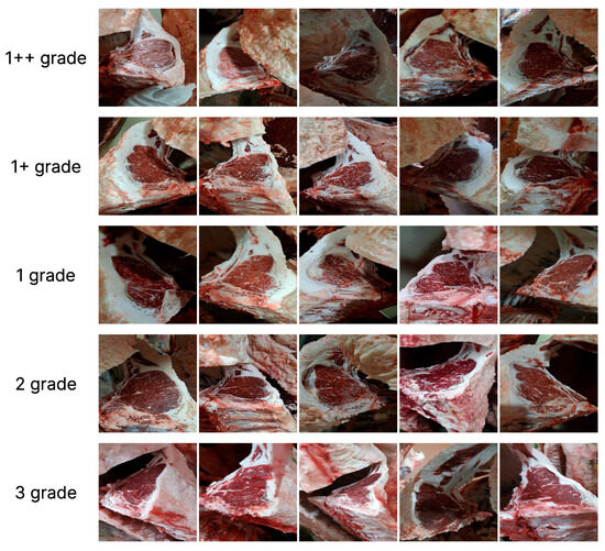 Beef Carcass Grading with EfficientViT: A Lightweight Vision Transformer Approach