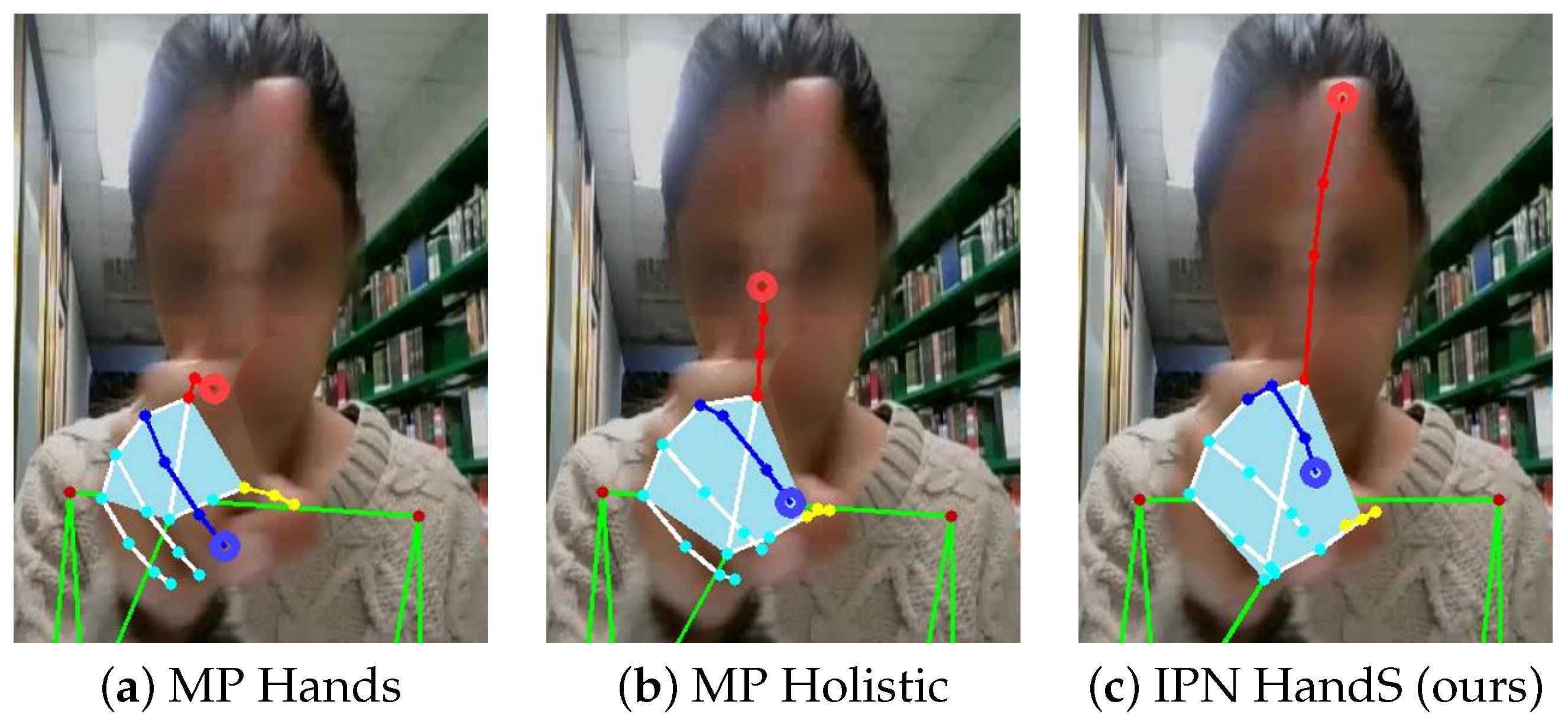 IPN HandS: Efficient Annotation Tool and Dataset for Skeleton-Based Hand Gesture Recognition