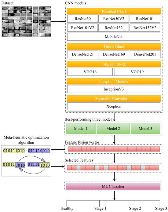 Triple Stream Deep Feature Selection With Metaheuristic Optimization And Machine Learning For