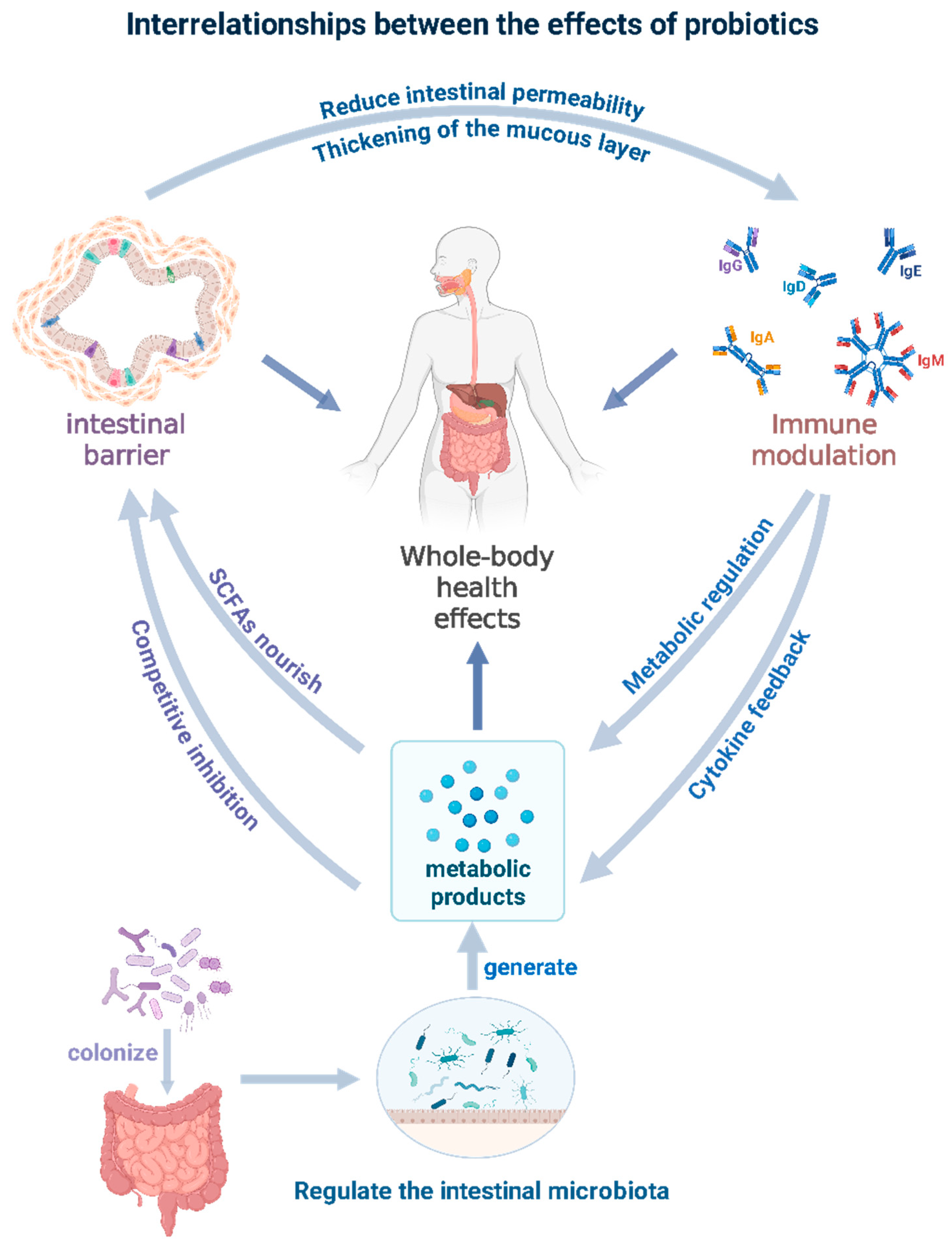Unlocking Wellness: Probiotics as Key Drivers in Functional Food ...