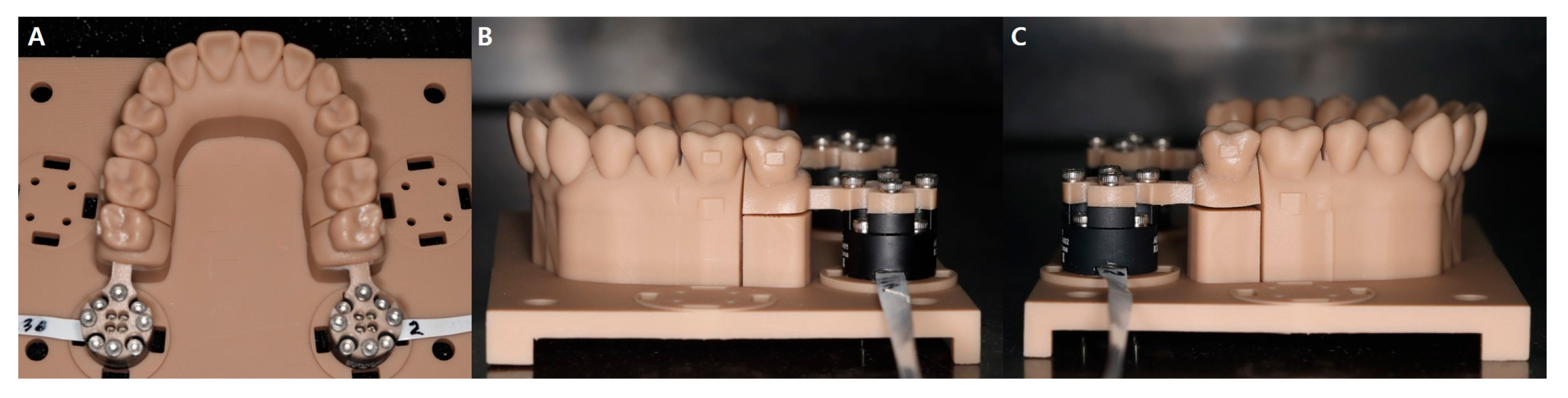 A Comparative In Vitro Analysis of Attachment and Enhanced Structural ...