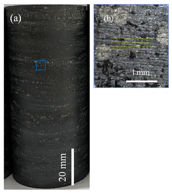 Influence of Water Immersion on Coal Rocks and Failure Patterns of ...