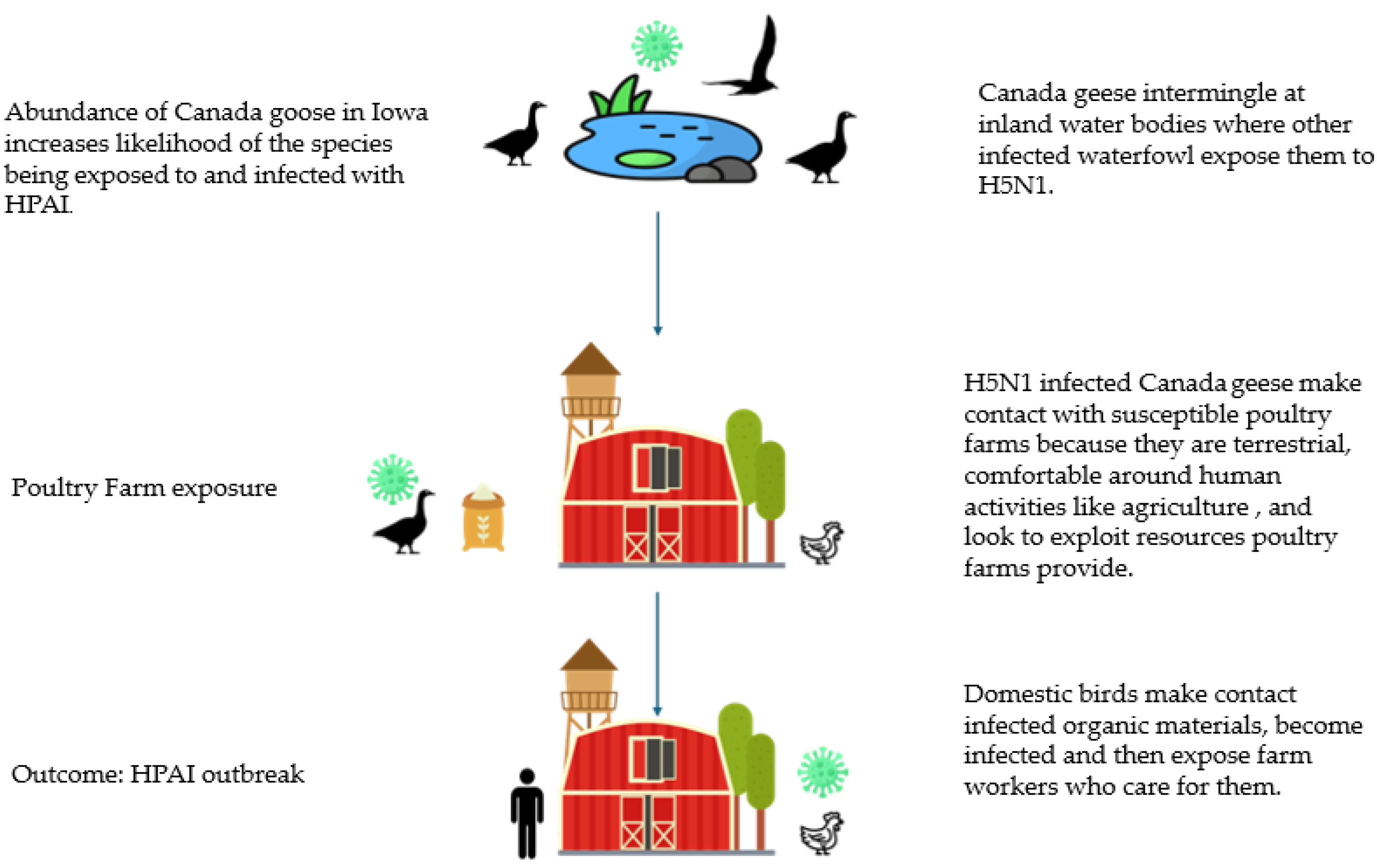 Evaluating the Role of Canada Goose Populations in Transmission ...