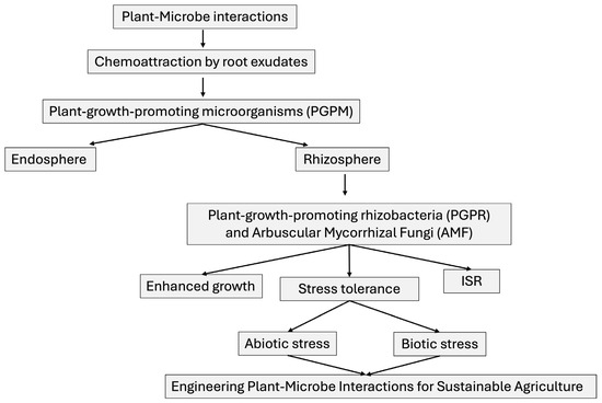 A Review of Plant–Microbe Interactions in the Rhizosphere and the Role ...