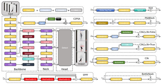 YED-Net: Yoga Exercise Dynamics Monitoring with YOLOv11-ECA-Enhanced Detection and DeepSORT Tracking