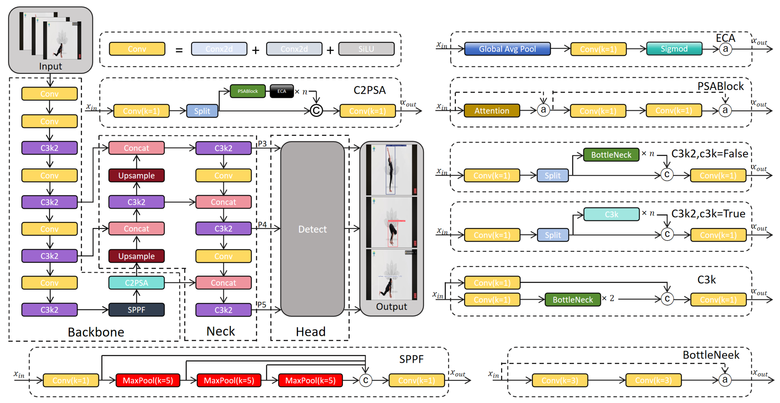 YED-Net: Yoga Exercise Dynamics Monitoring with YOLOv11-ECA-Enhanced Detection and DeepSORT Tracking