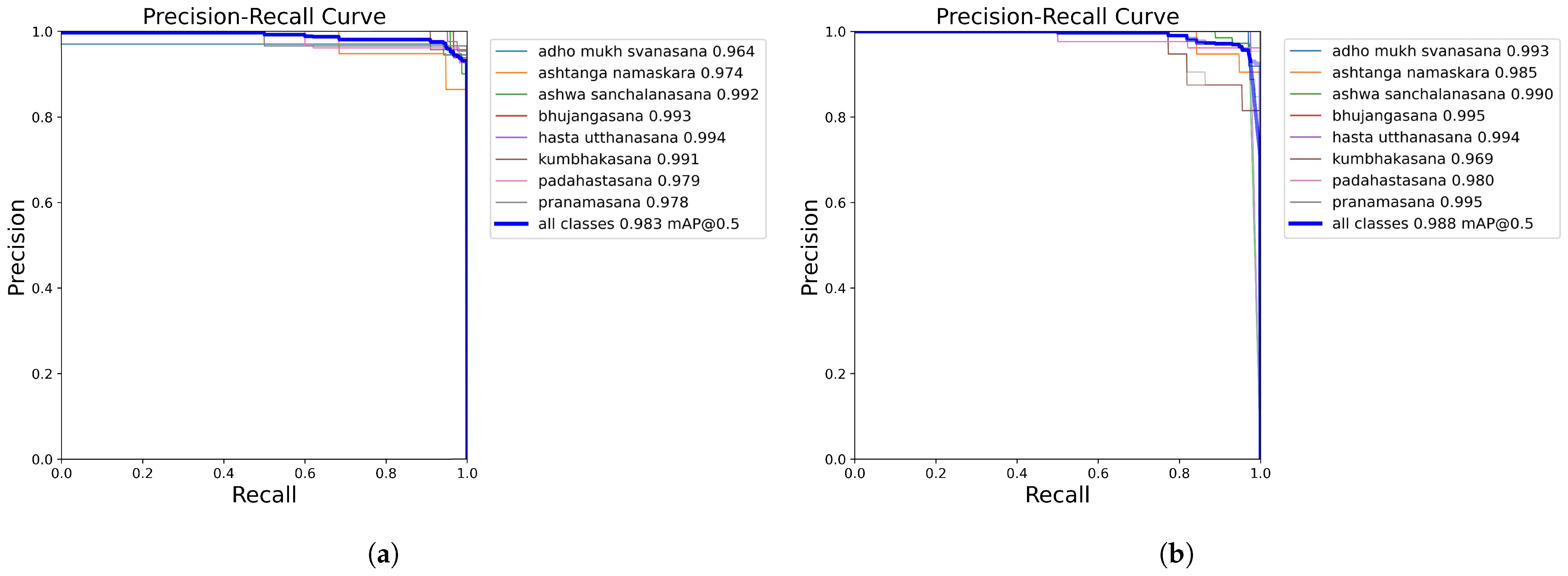 YED-Net: Yoga Exercise Dynamics Monitoring with YOLOv11-ECA-Enhanced Detection and DeepSORT Tracking