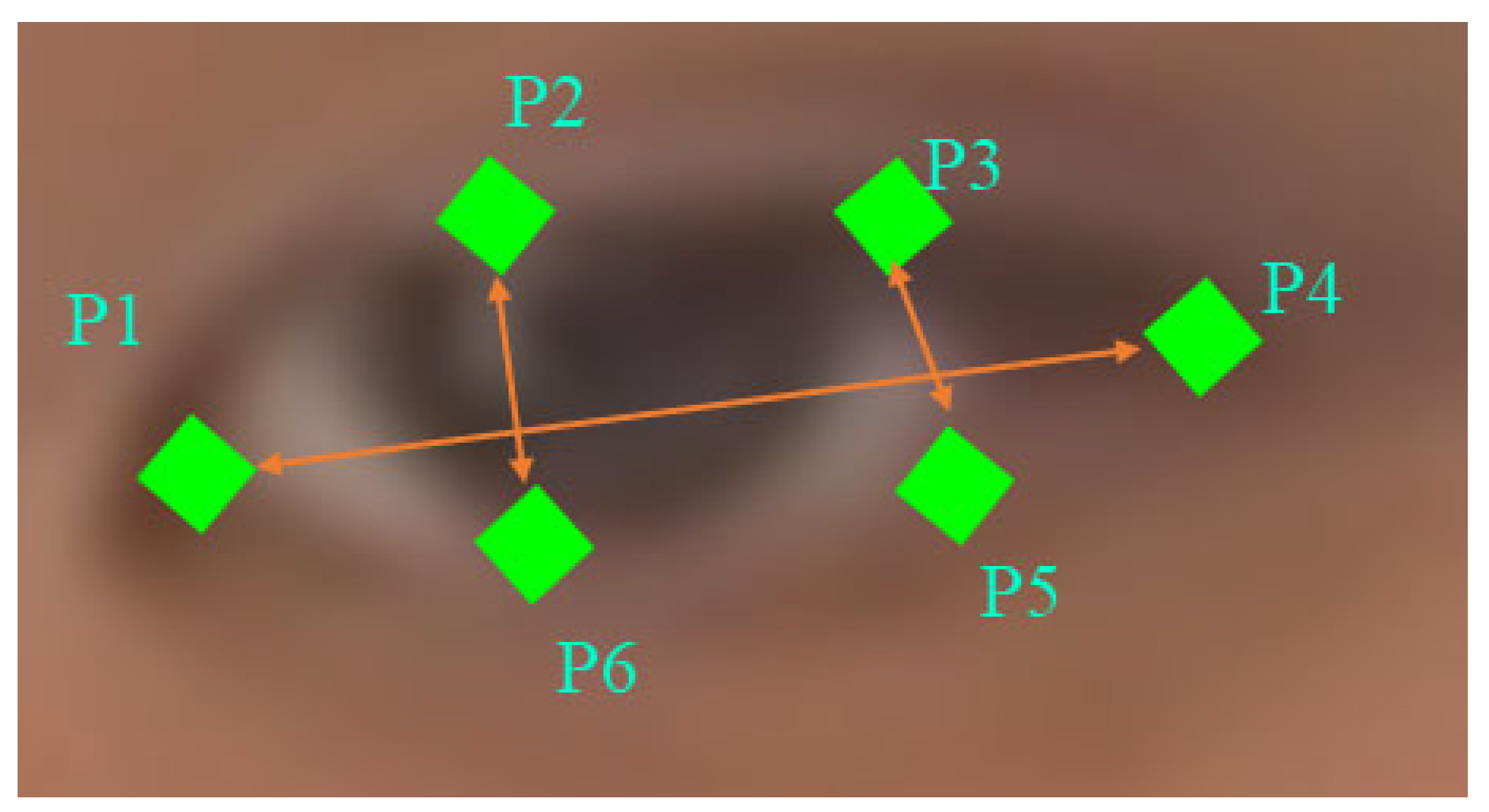 FF-YOLO: An Improved YOLO11-Based Fatigue Detection Algorithm for Air ...
